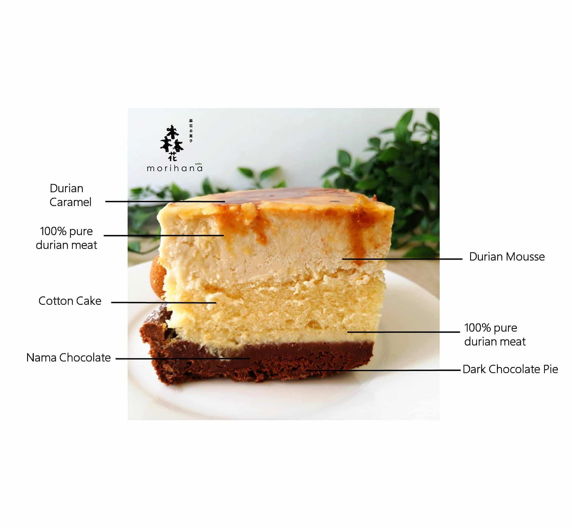 Premium Durian Pie 浓郁榴莲派